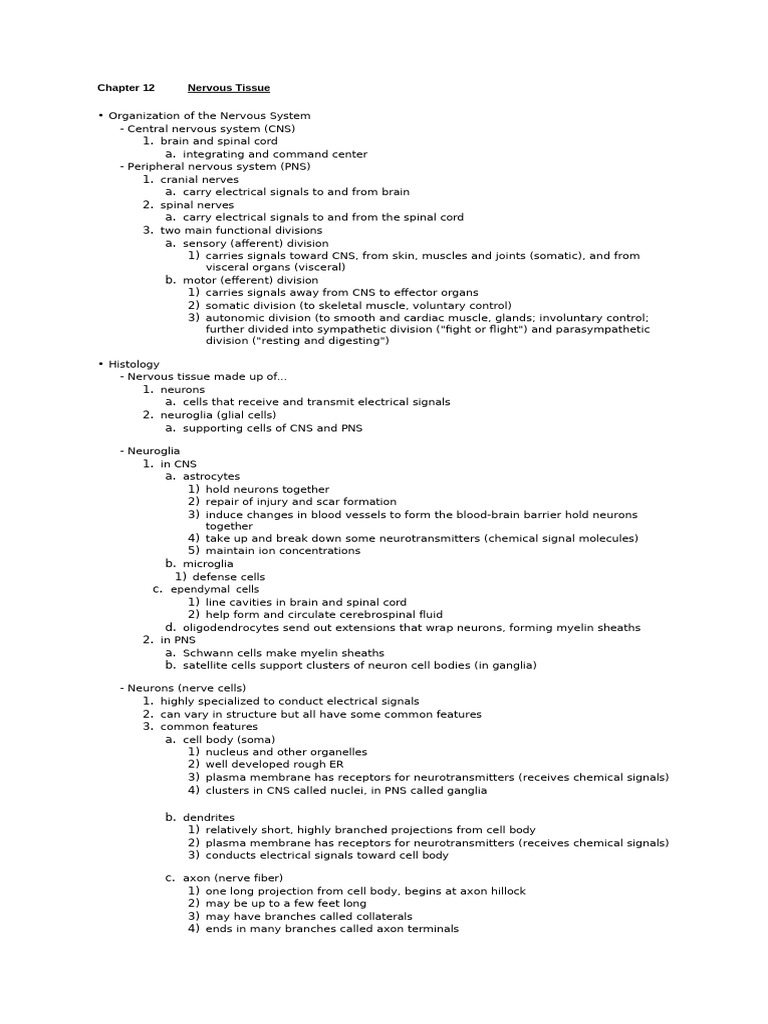 Reviwer Anaphy | PDF