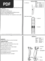 Botany Lab Manual-Revised 2025 | PDF | Mitosis | Plant Stem