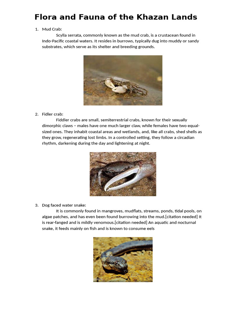 Evs Report Part 3 | PDF