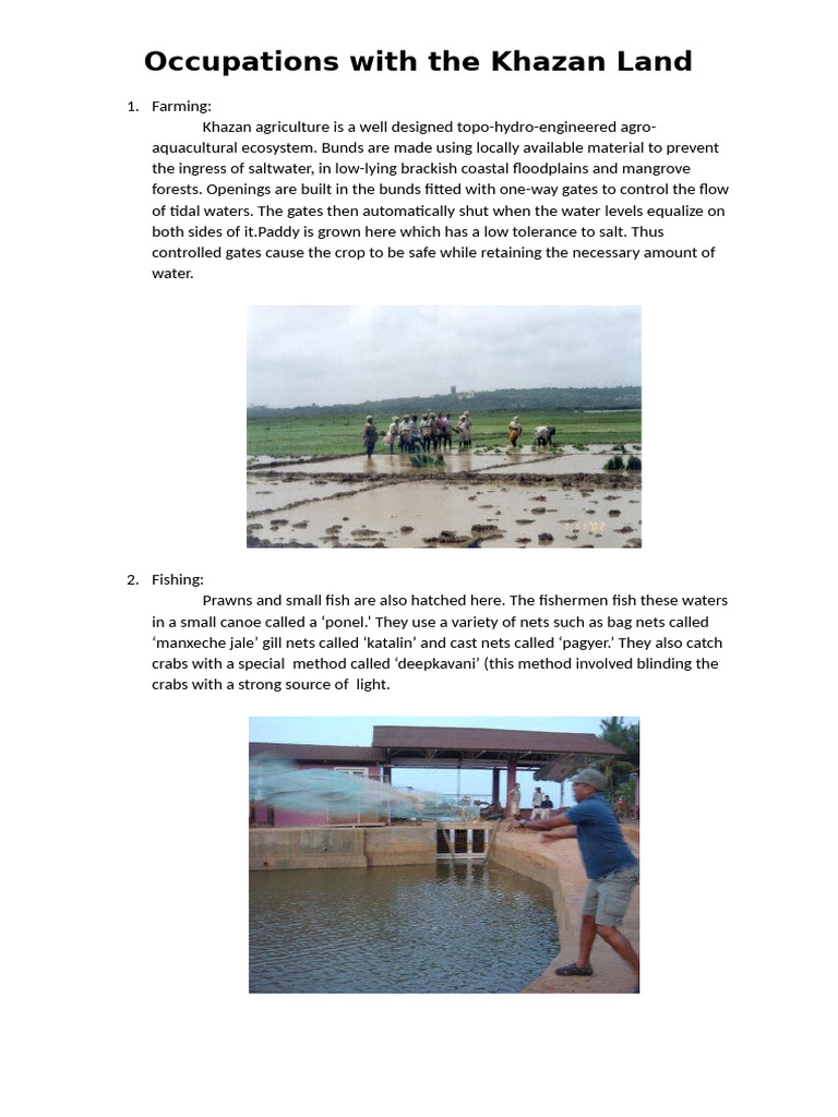 Evs Report Part 33 Pdf