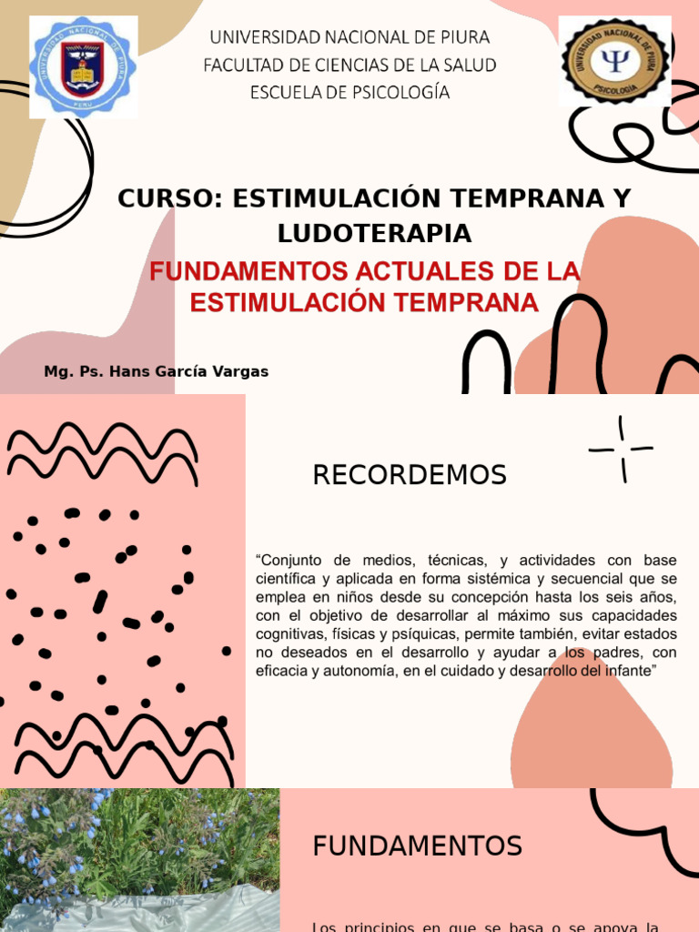 Fundamentos de La Estimulación Temprana | PDF
