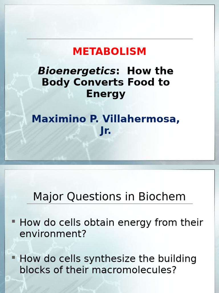Metabolism | PDF