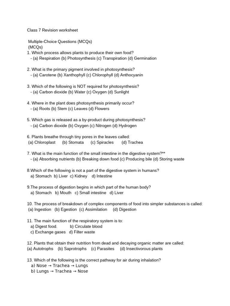 Class 7 Revision Worksheet MCQ | PDF