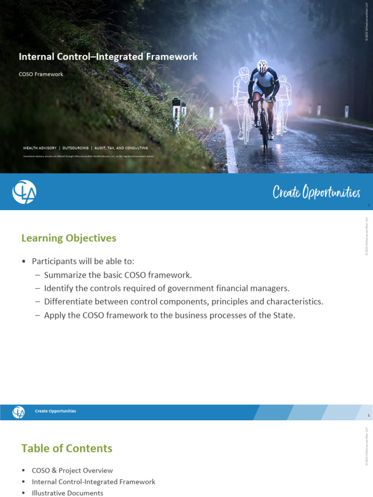 COSO Internal Controls | PDF