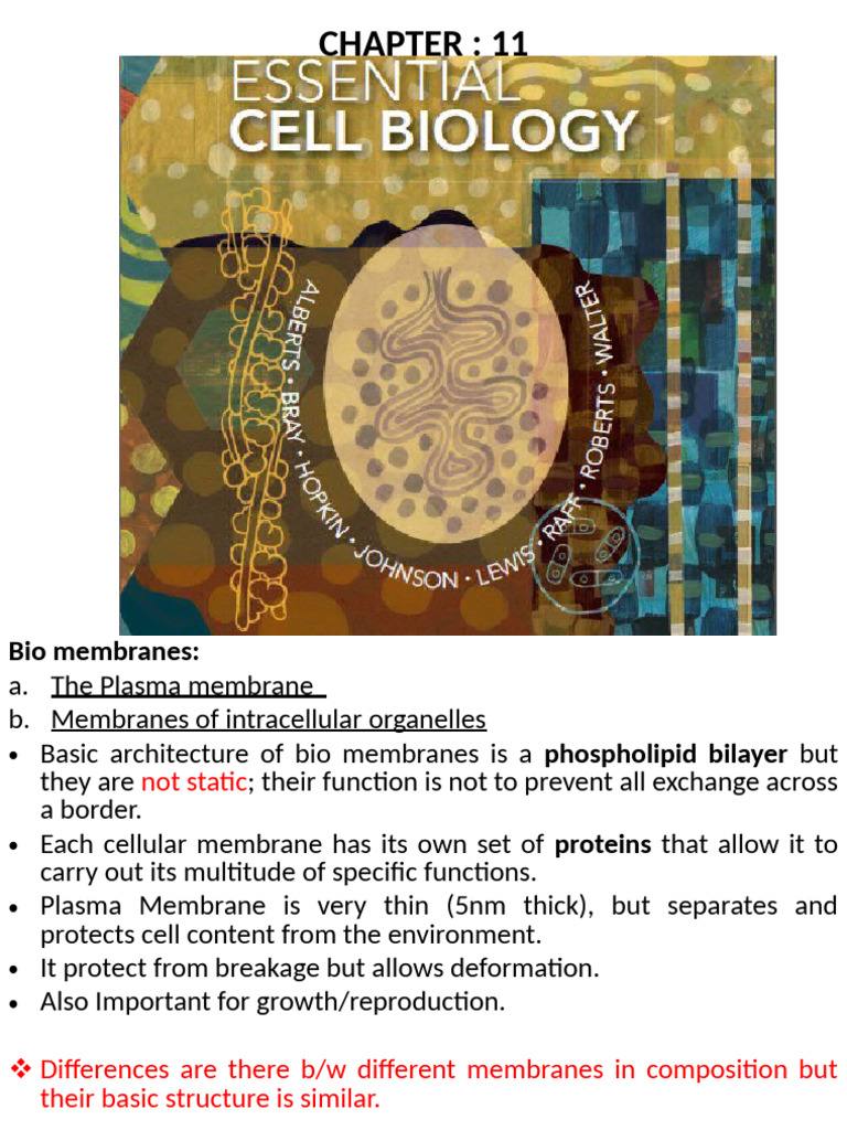 Cell Membrane Structure | PDF