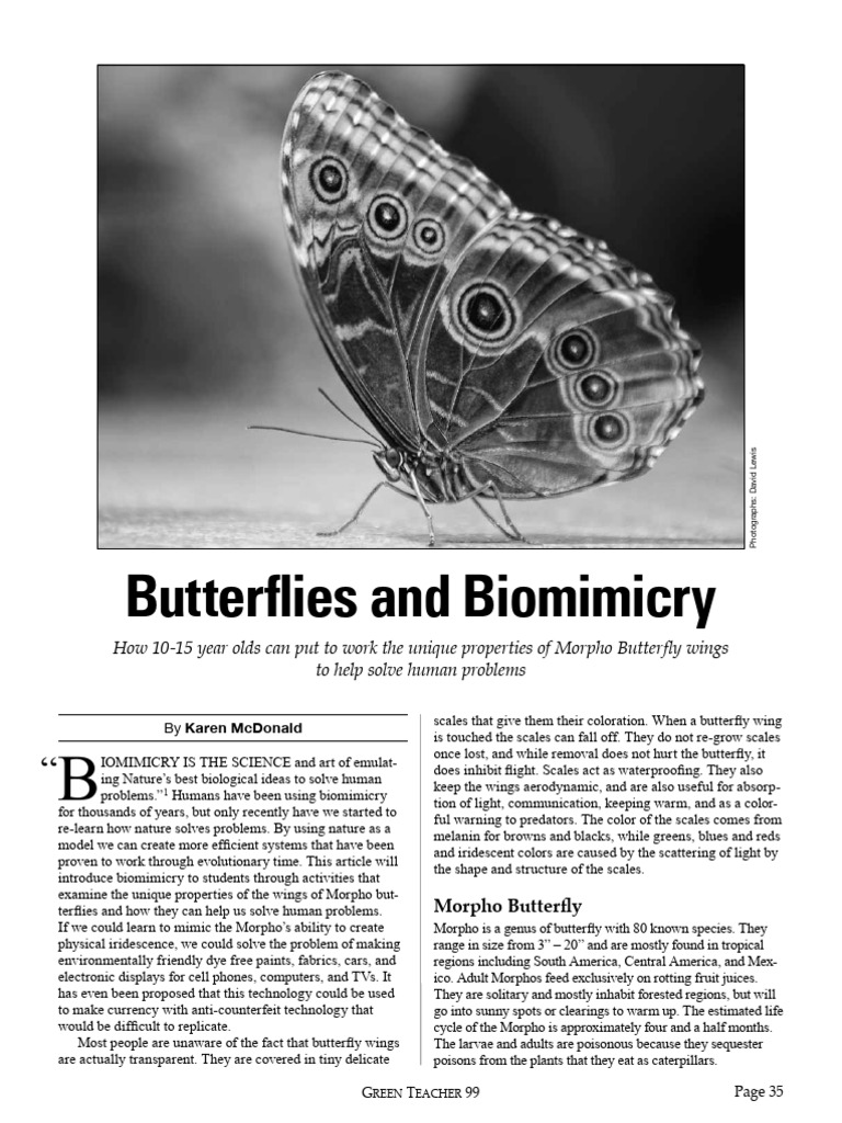 Butterflies and Biomimicry | PDF