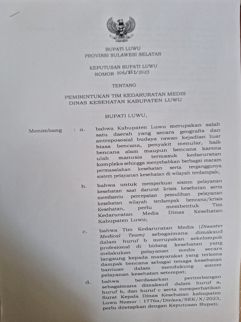 SK DMT Bupati Luwu | PDF