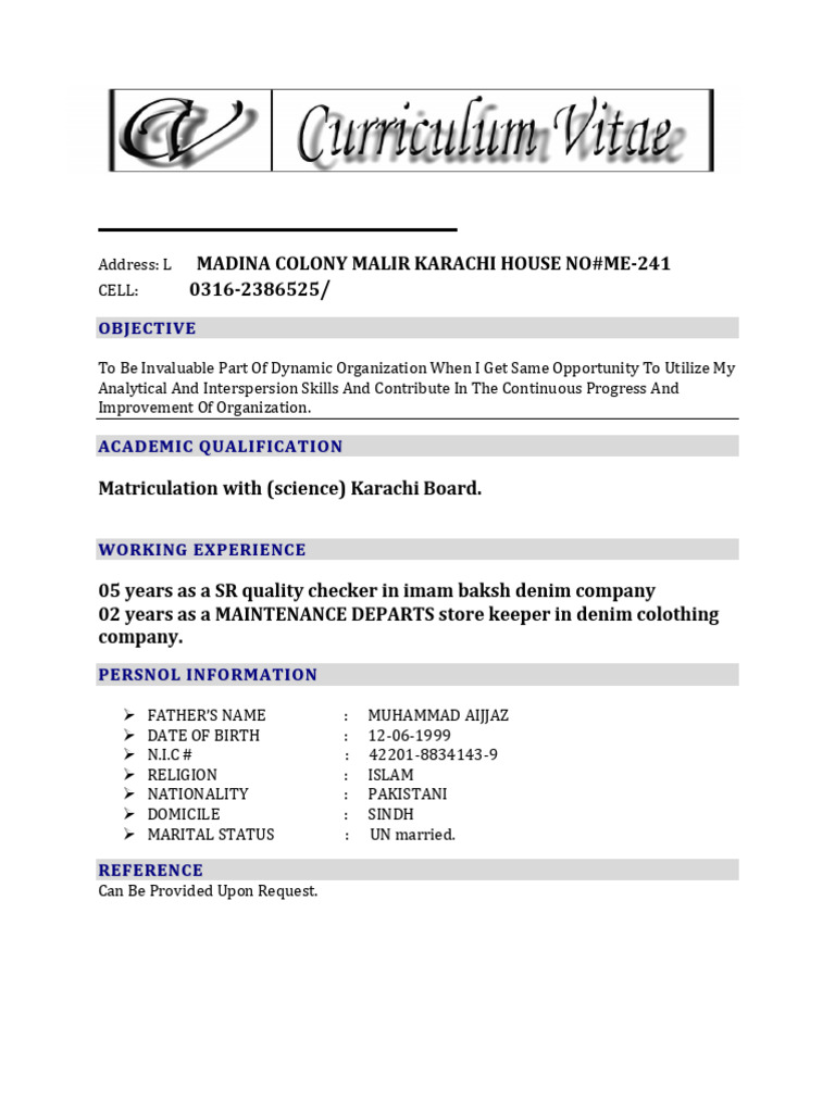 Cv.docx Sameer | PDF