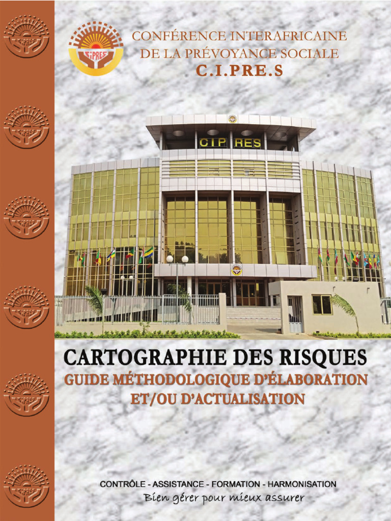 Cartographie Des Risques Guide | PDF