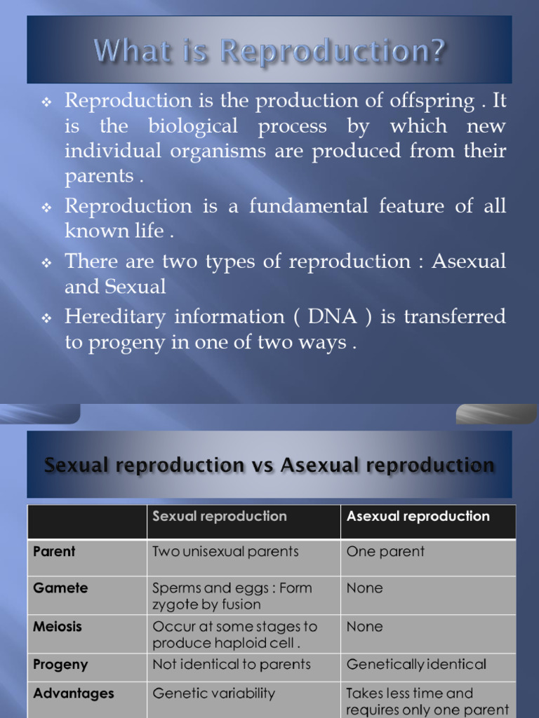 Reproduction Types | PDF