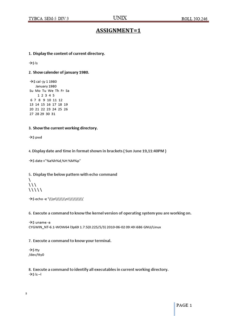246 Unix | PDF