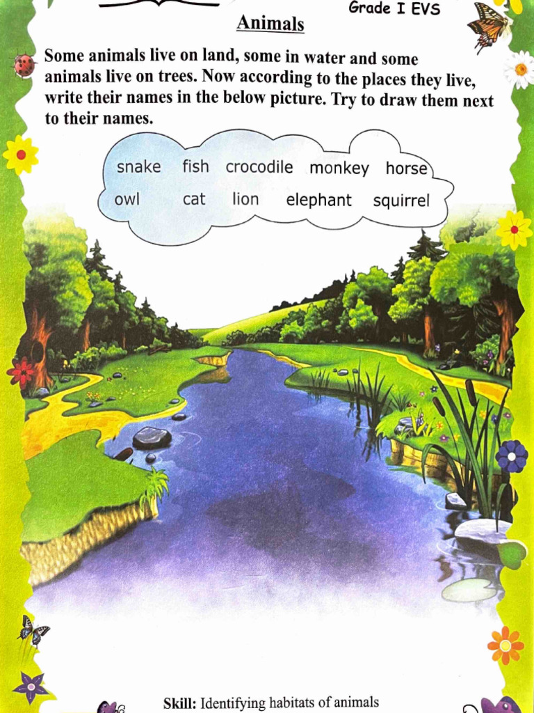 Animal Worksheet | PDF