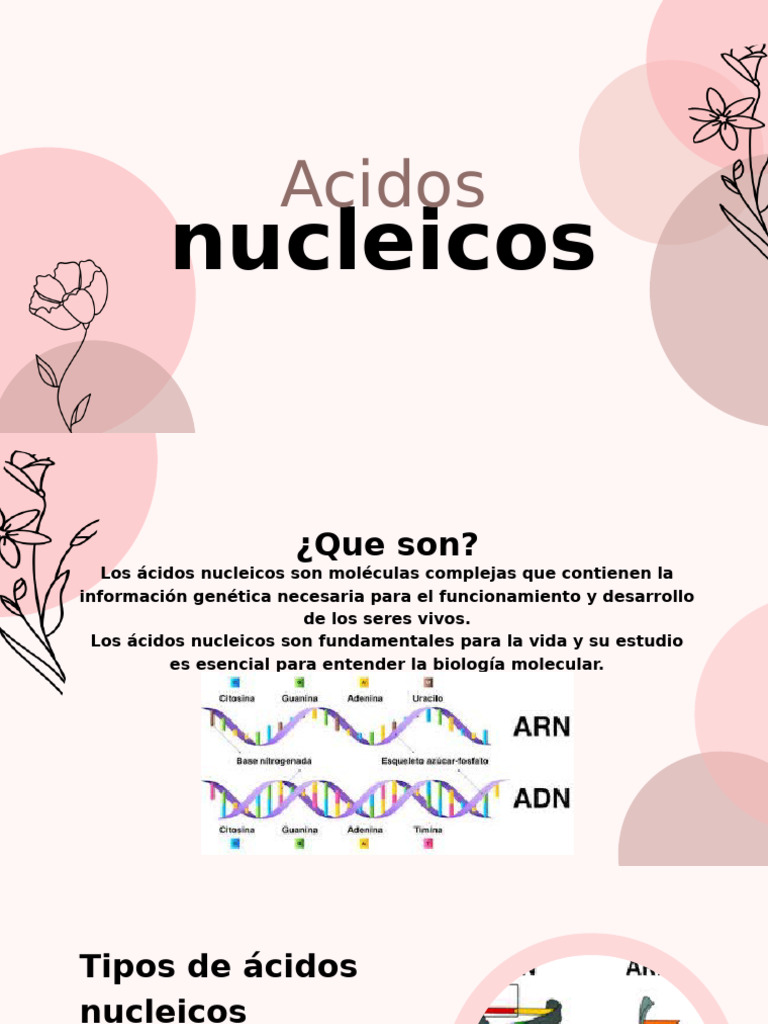 Acidos | PDF