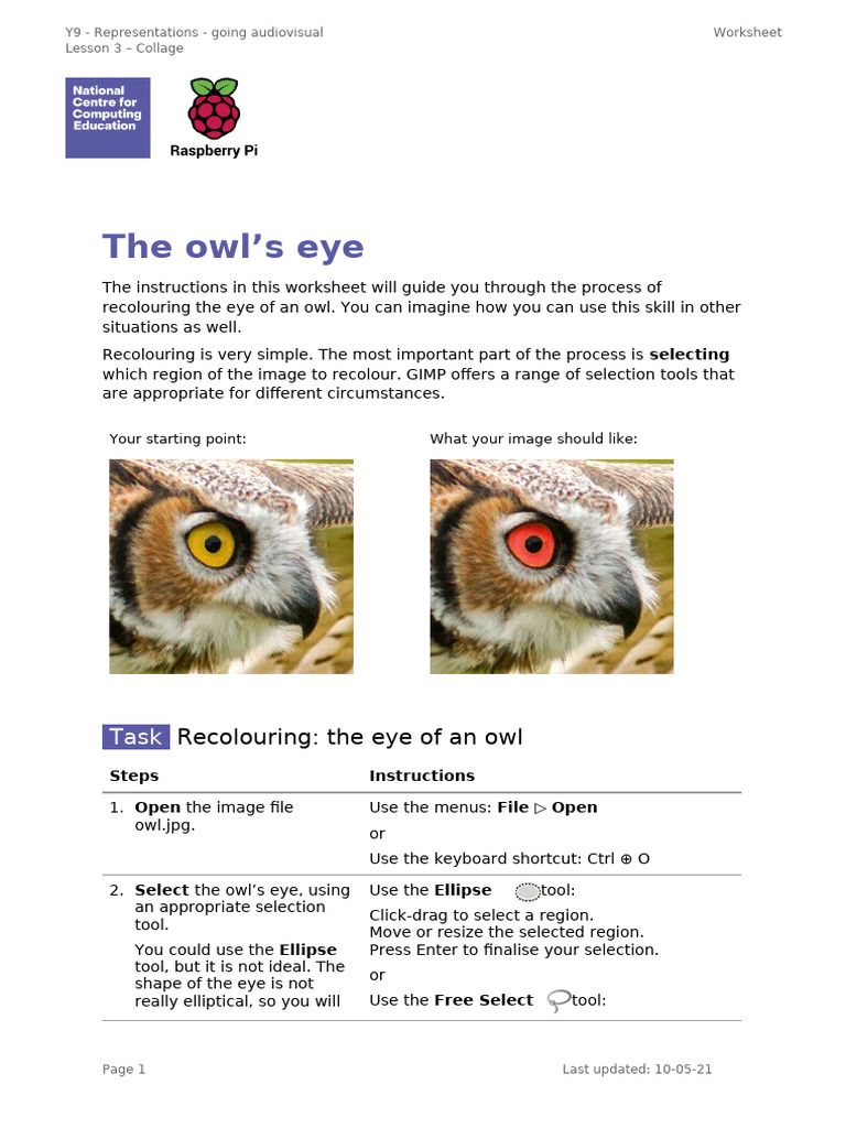 A1 Worksheet - Owl - Image Editing | PDF