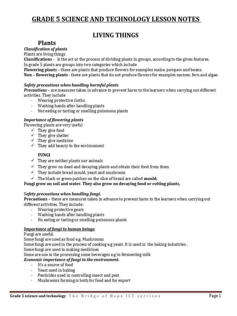 Science and Technology Notes Grade 5 | PDF