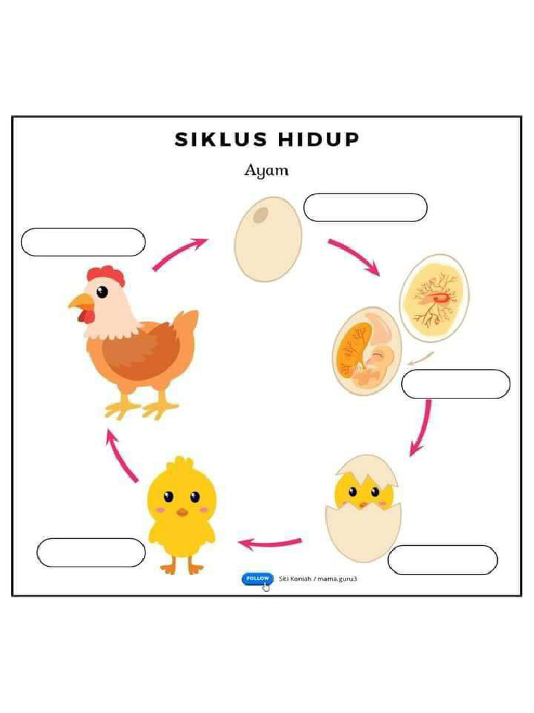 LKPD Siklus Hidup Makhluk Hidup | PDF