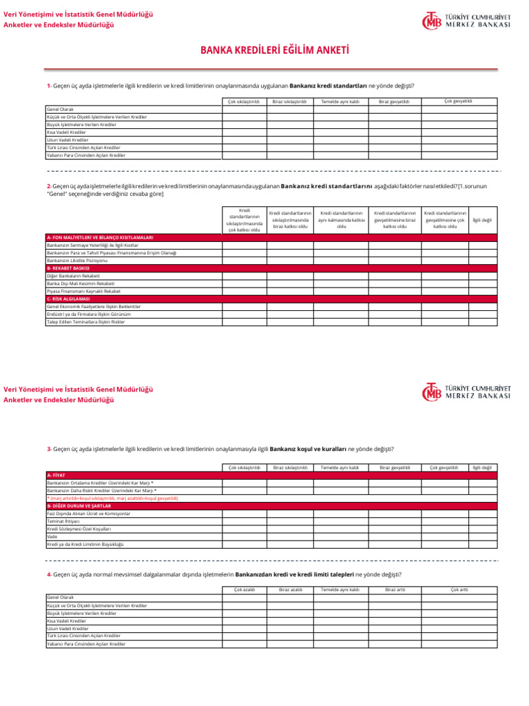 BKEA Anket Formu | PDF