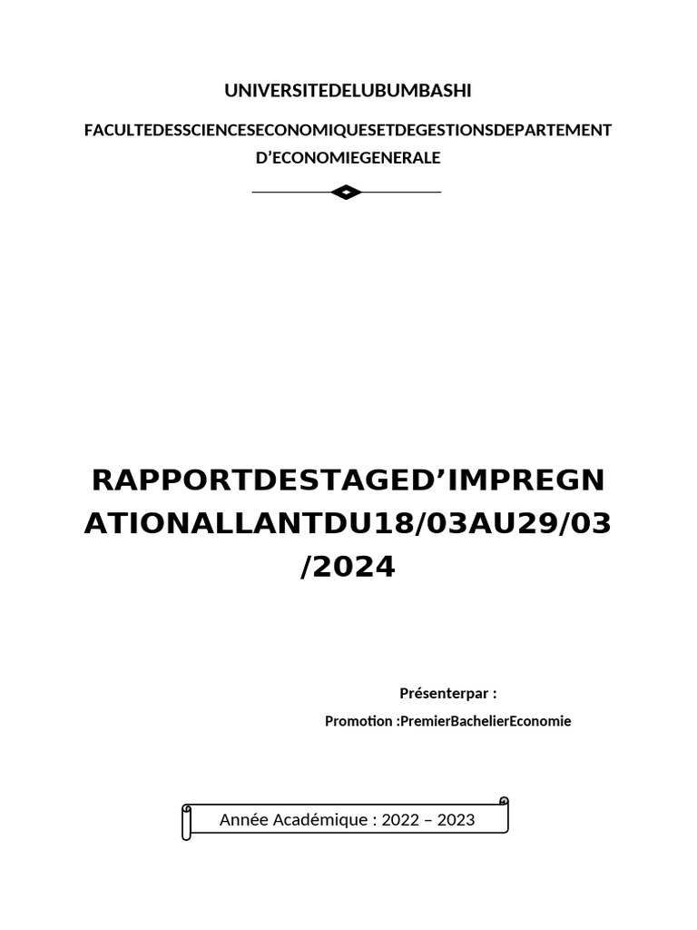 Bac1 Rapport Fini - 092835 | PDF