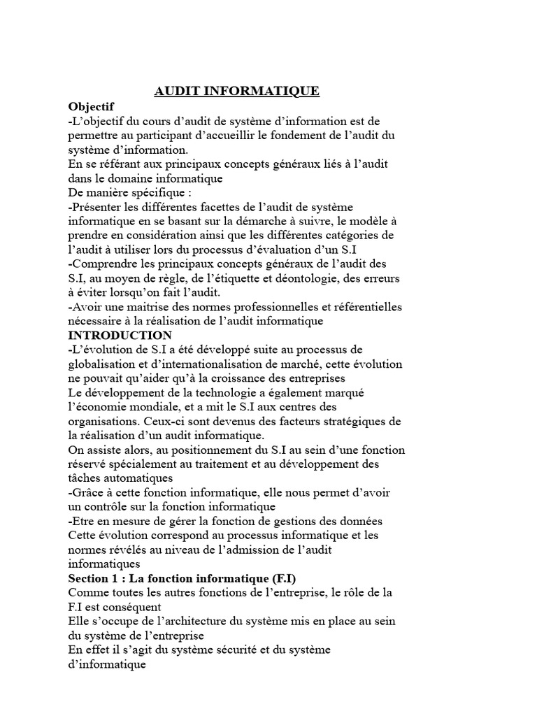 Audit Informatique | PDF
