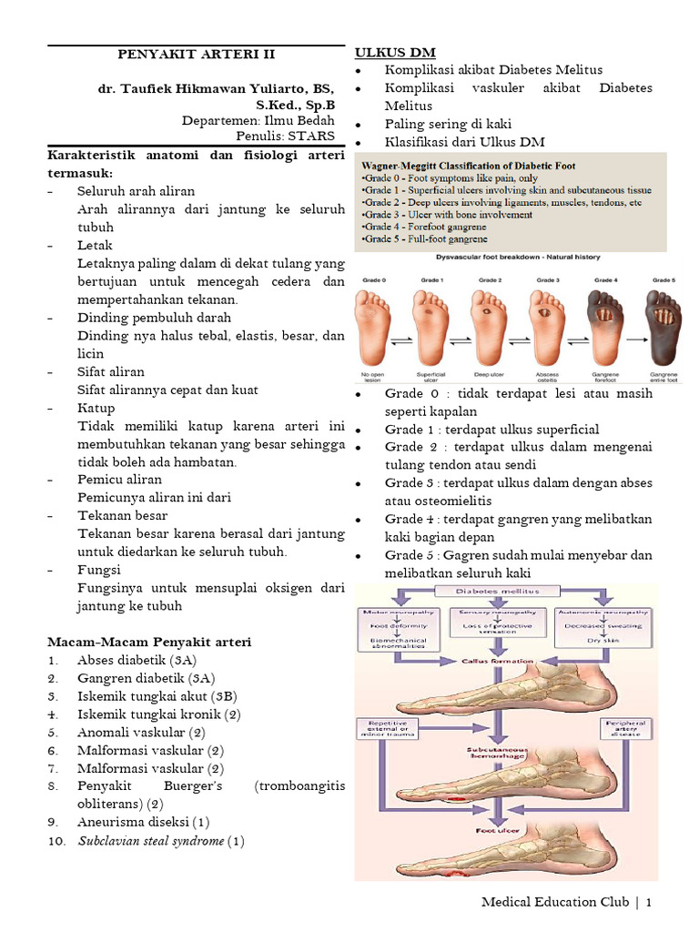 Penyakit Arteri II | PDF