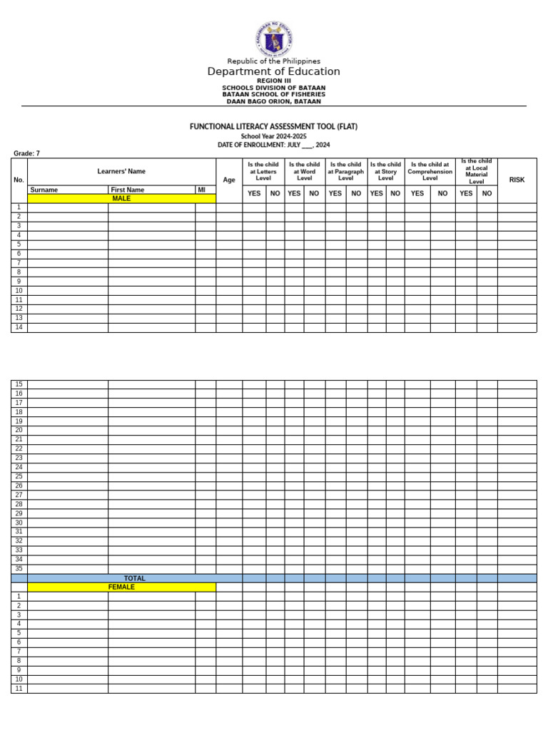 Flat Assessment Tool Template | PDF