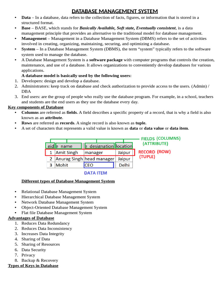 Database Management System | PDF | Databases | Database Transaction