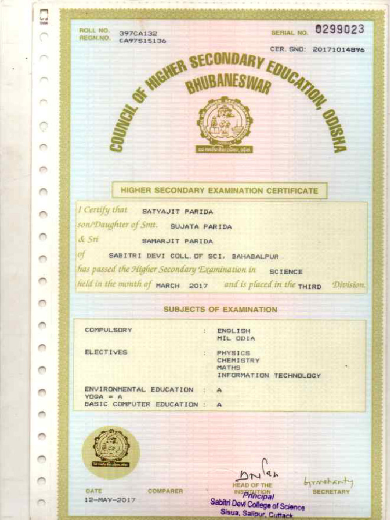 Chse Certificate | PDF