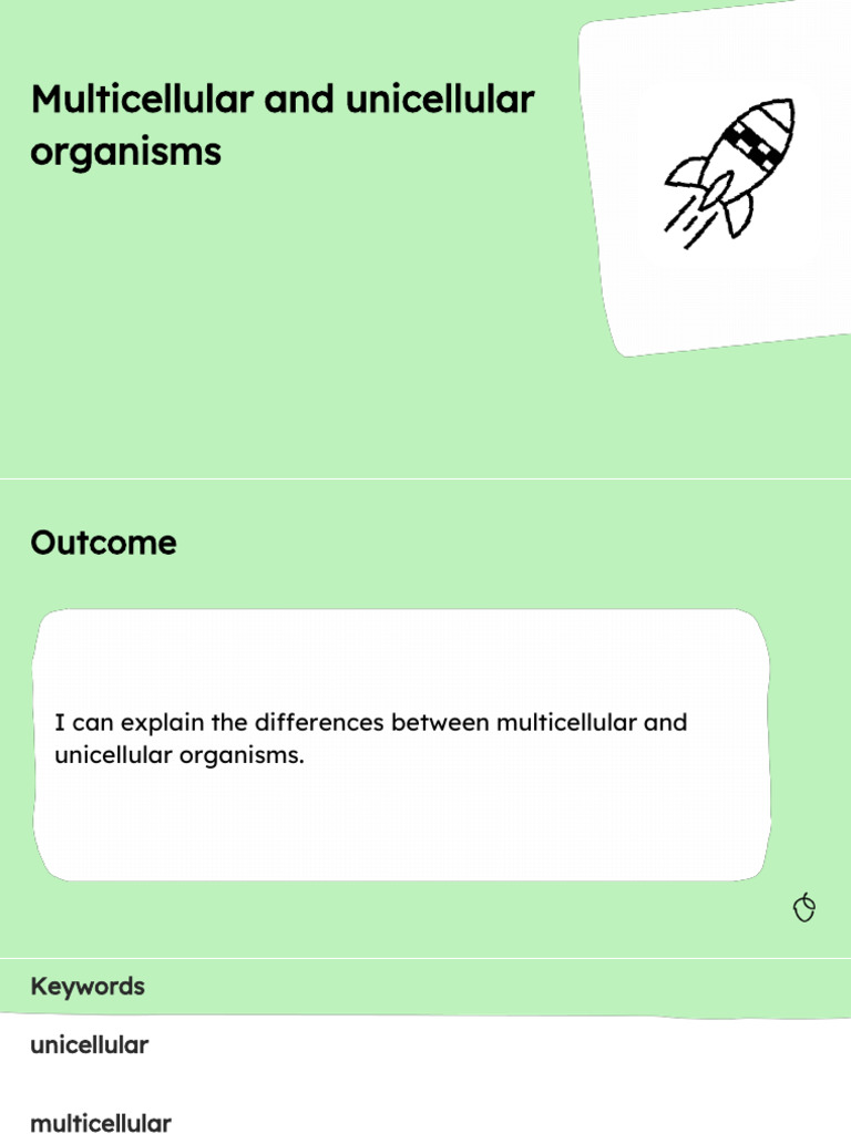 Unicellular and Multicellular Organisms | PDF