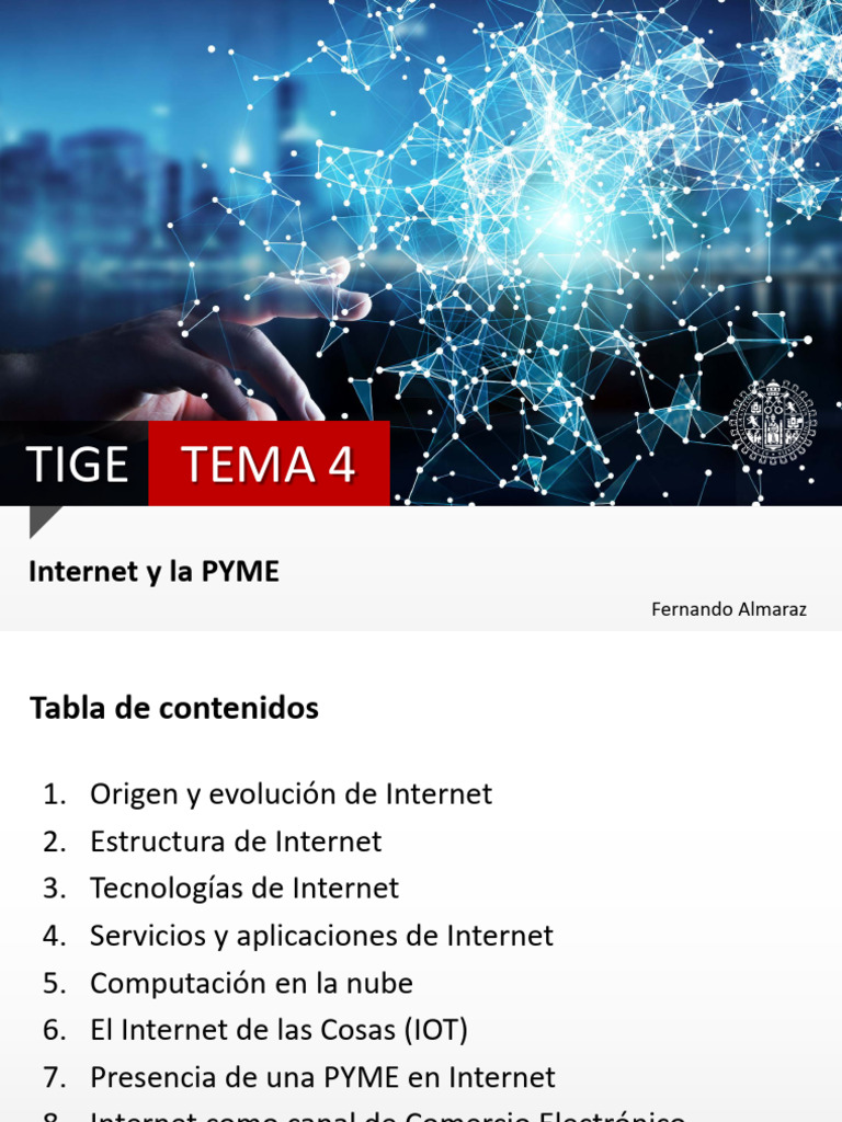 TIGE Tema 4 2024 | PDF