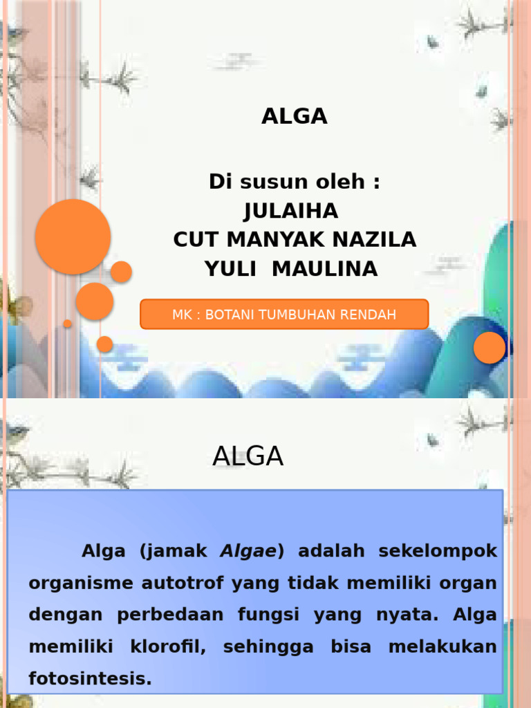 Alga Julaiha, Cut Manyak Nazila Dan Yuli Maulina | PDF