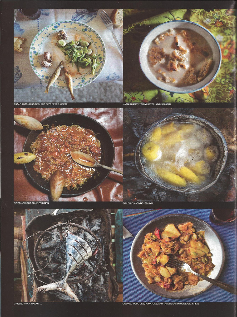 National Geographic - The Evolution of Diet | PDF