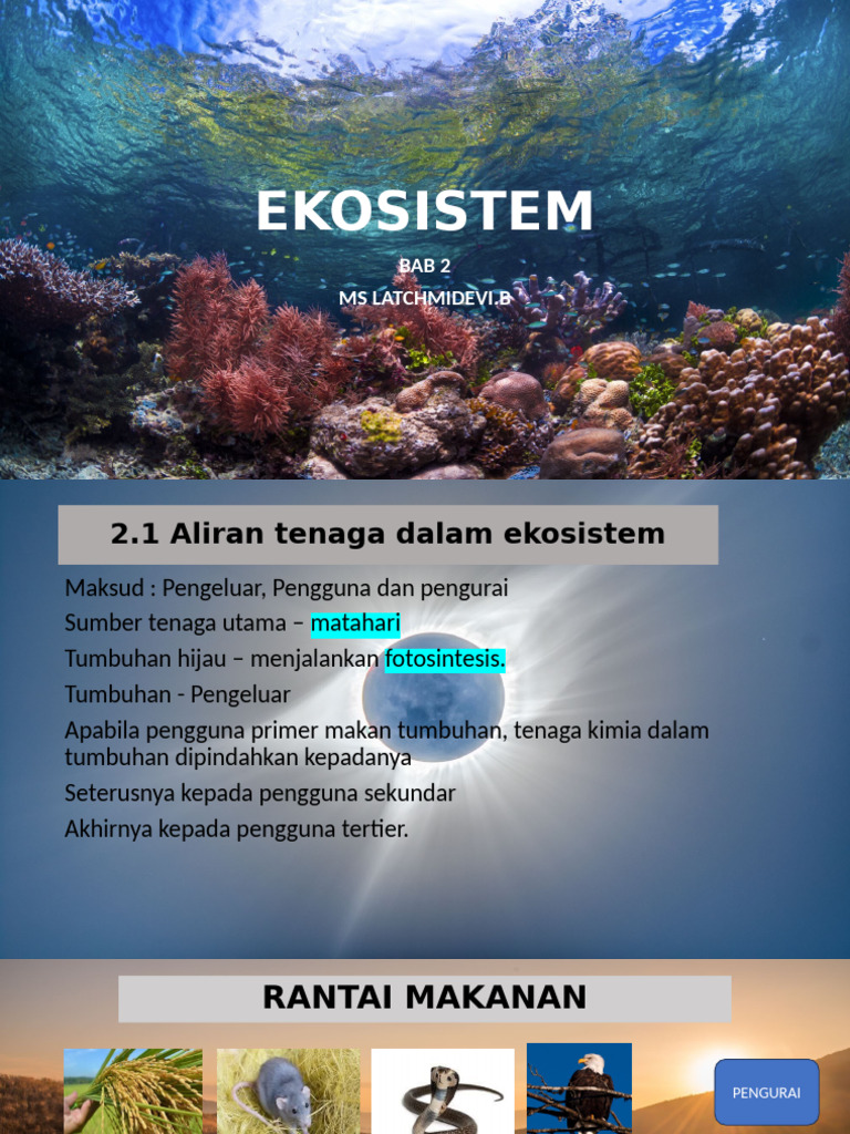 Eko Sistem | PDF