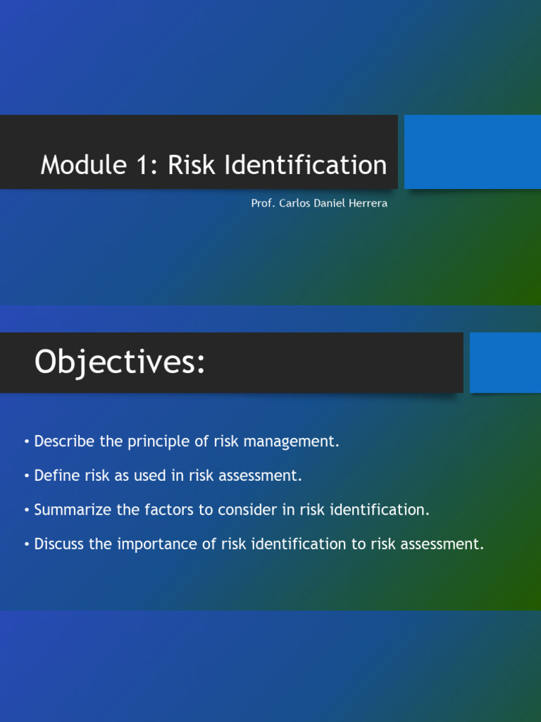 Module 1 Risk Identification | PDF