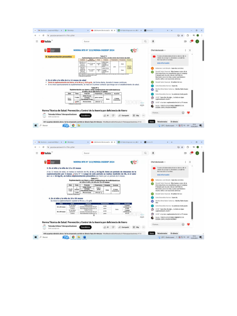 Norma Tecnica Anemia NTS 213 Minsa - Dgiesp 2024 | PDF