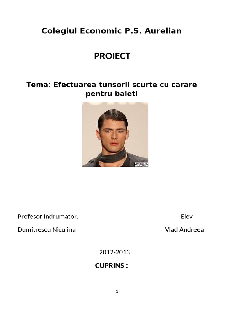 Vlad Andrea | PDF