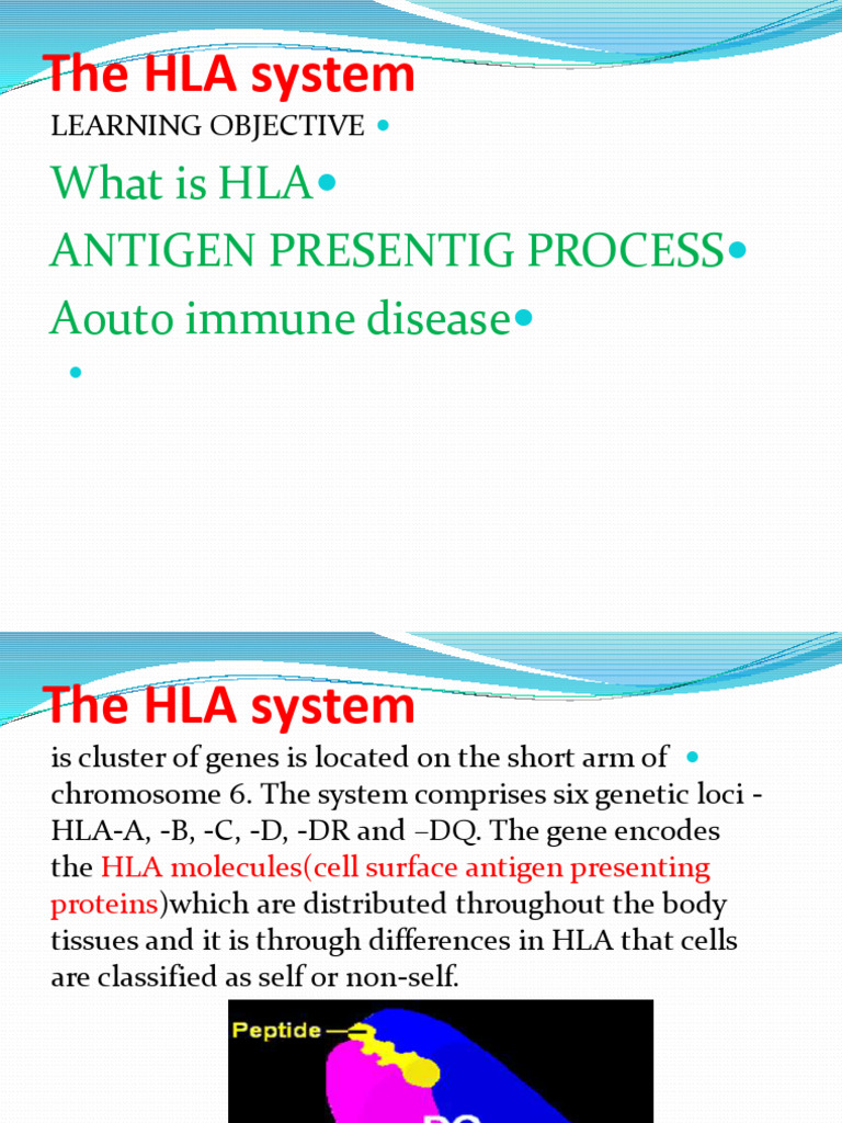 Lecture 2 Immun - 2025 | PDF