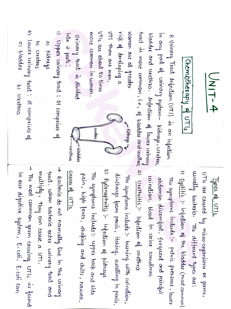 Unit 4 Pharmacology 3 B.pharma 6th Semester GBkeNotes | PDF