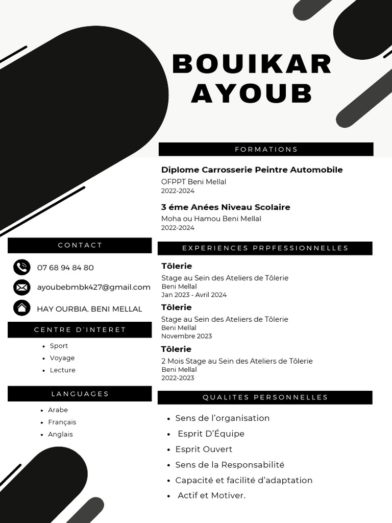 CV Ayoub | PDF CV Ayoub | PDF