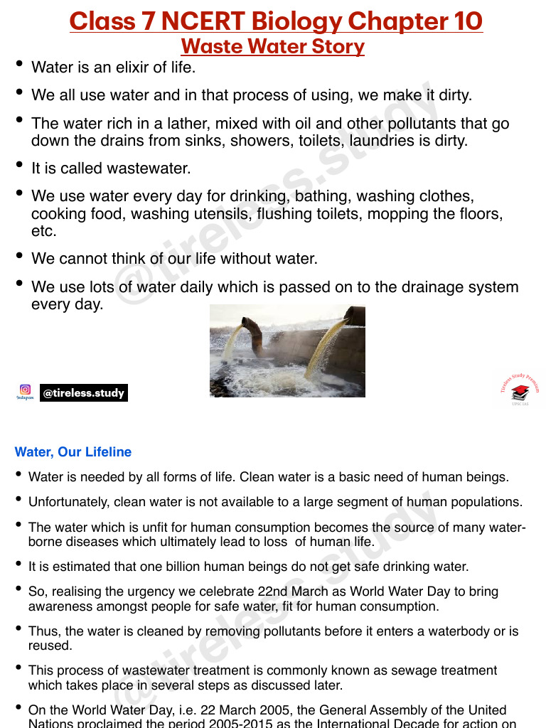 Class 7 Lesson 10 | PDF