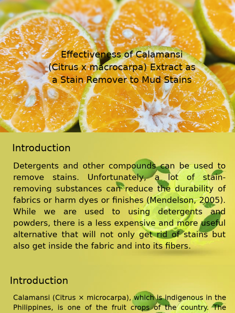 Effectiveness of Calamansi (Citrus X Macrocarpa) Extract As A Stain ...