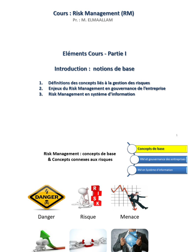 Eléments Cours RM Partie I | PDF | Gestion des risques | Risque