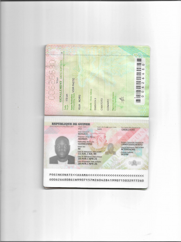 Passport | PDF