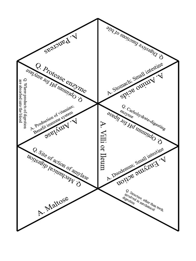 3.3.3 + 4 Human Nutrition & Digestion 2 TARSIA EQ | PDF