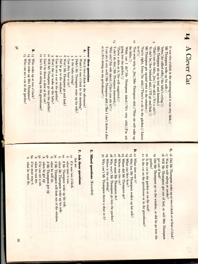 The Clever Cat | PDF