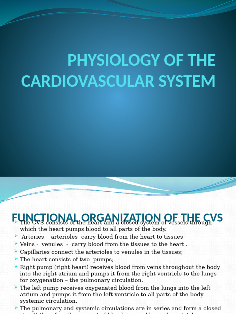 Cardiovascular System PP (1) - 2 | PDF
