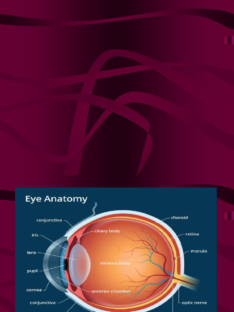 Bacterial Infections of The Eye | PDF | Medical Specialties | Diseases ...