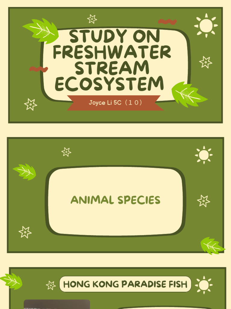 Study On Freshwater Stream Ecosystem | PDF | Predation | Social Science