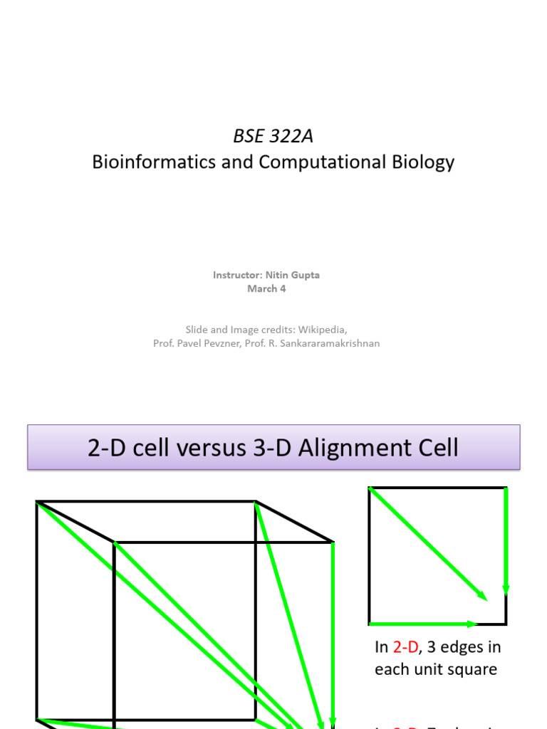 L15 MultipleSequenceAlignment Logos Motifs | PDF