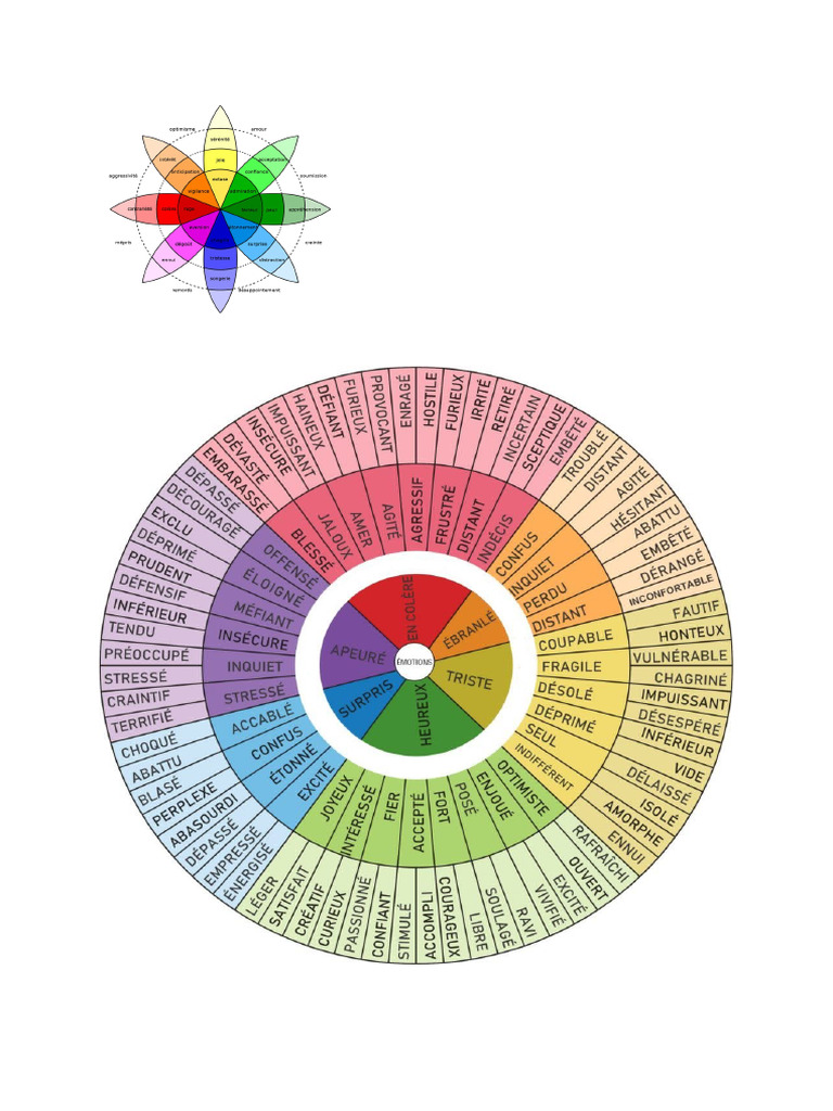 roue des emotions | PDF
