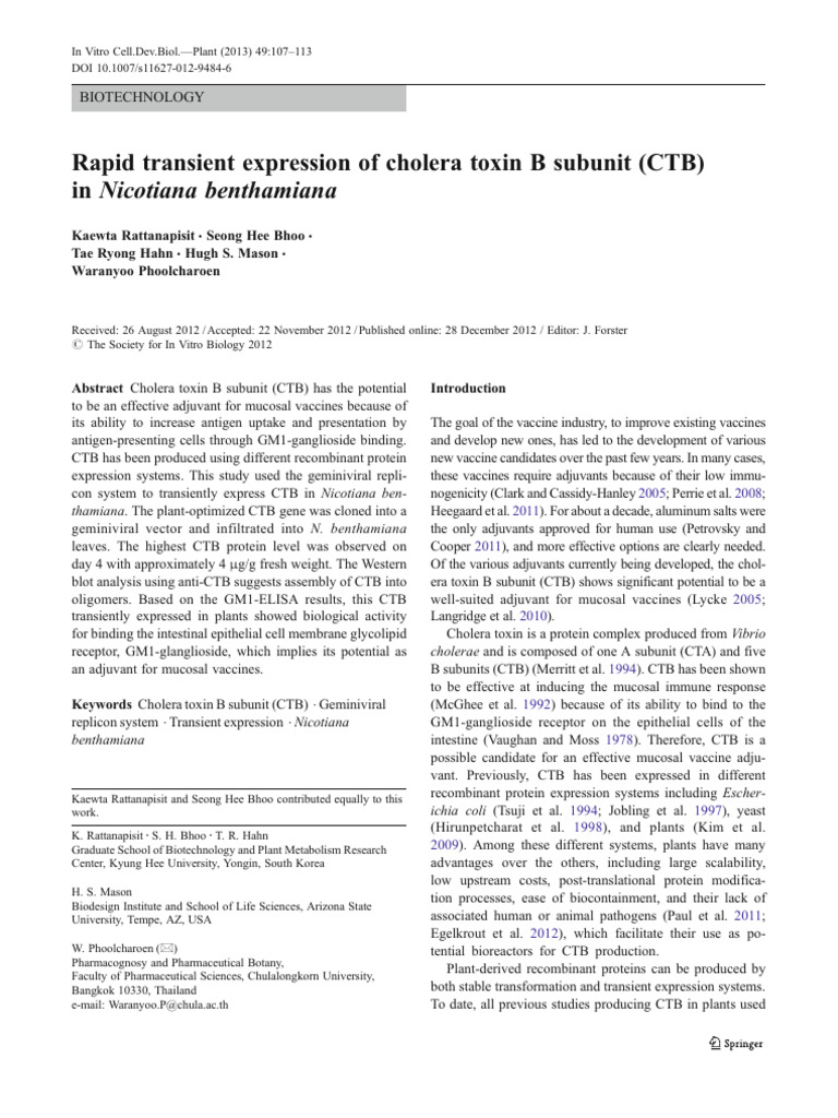 Rapid Transient Expression of Cholera Toxin B Subunit (CTB) in ...